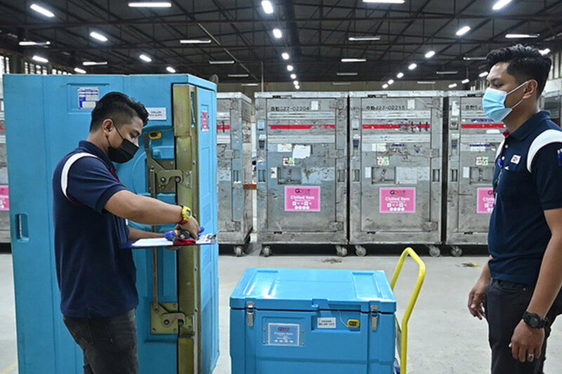 Frozen Shipments: Ensuring Quality in Chilled and Frozen Parcel | GDEX