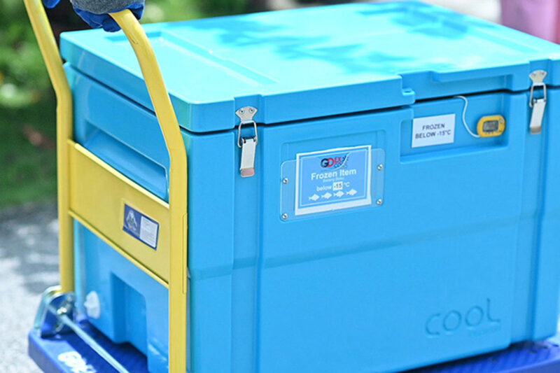 Frozen Shipments: Ensuring Quality in Chilled and Frozen Parcel | GDEX